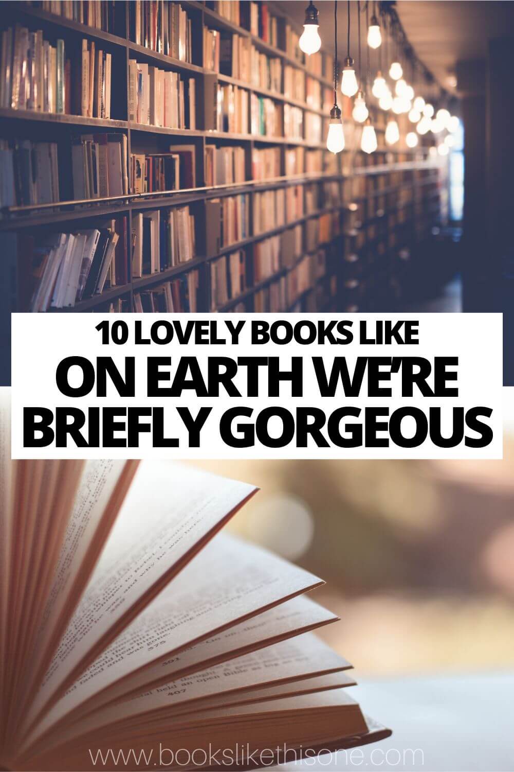 10 Lovely Books like On Earth We're Briefly Gorgeous